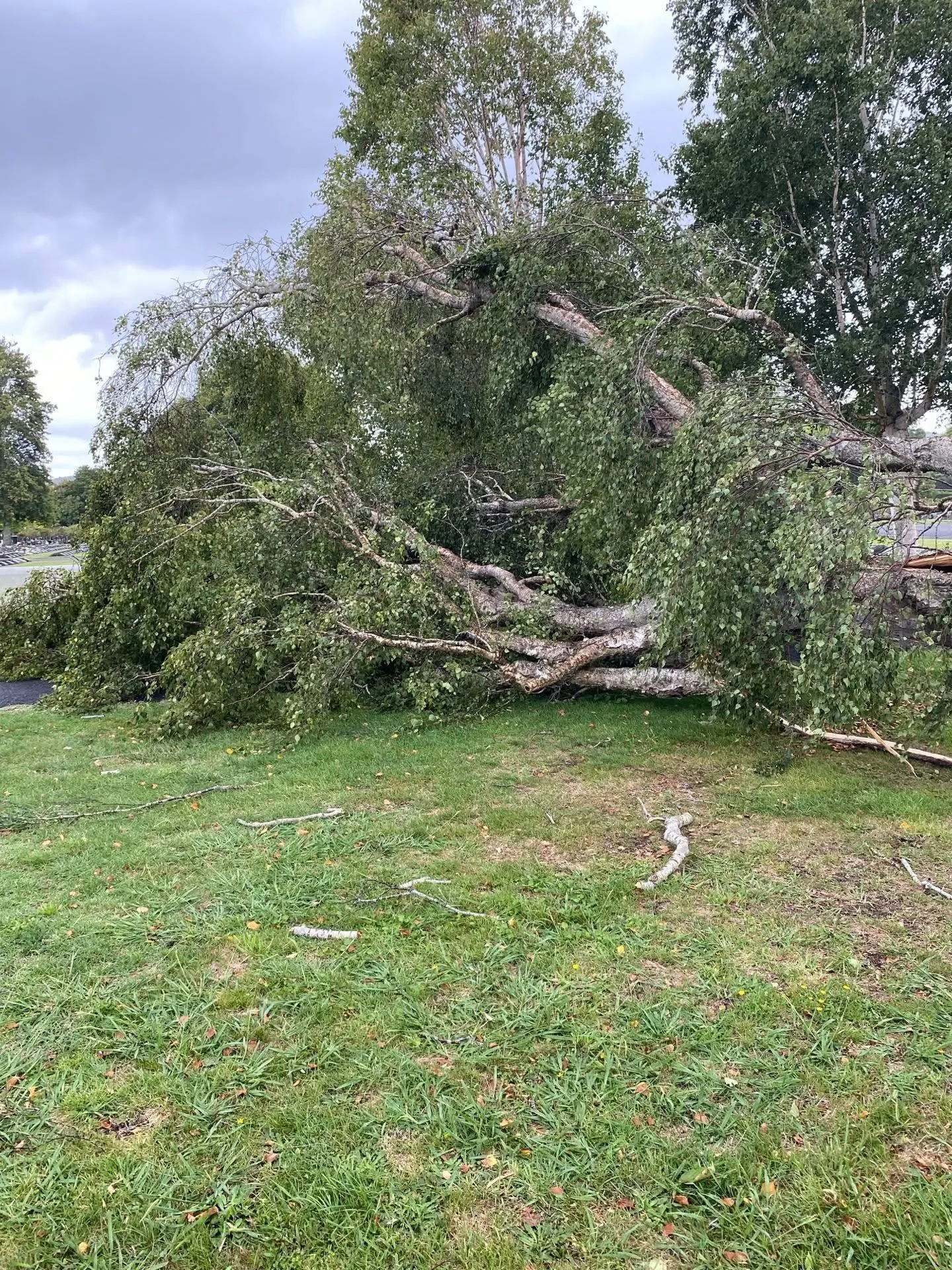 Live: Summer storm sweeps down New Zealand | Stuff