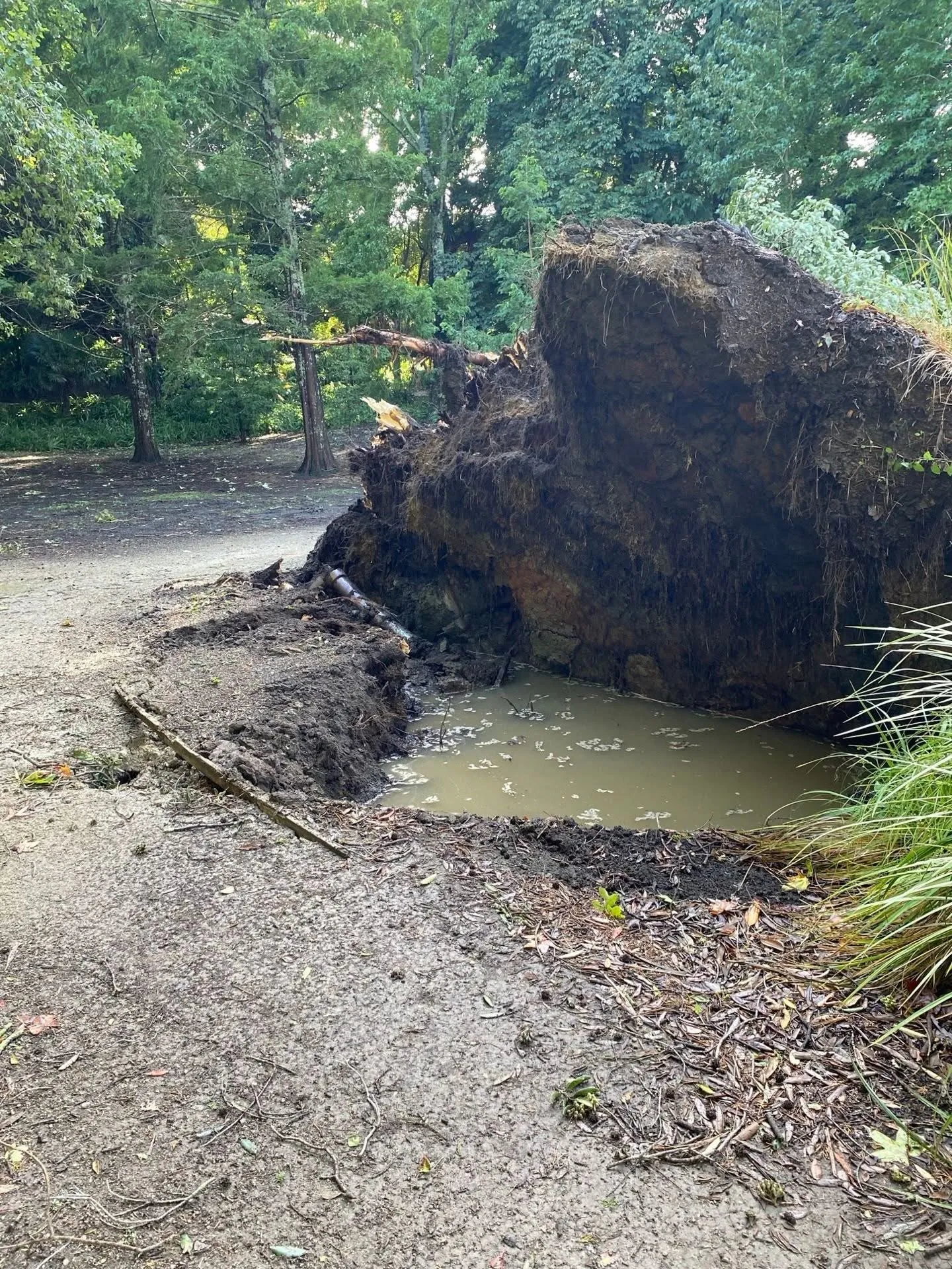 Live: Summer storm sweeps down New Zealand | Stuff
