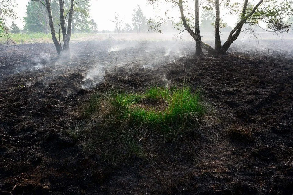 LIVE DROOGTE. Captatieverbod voor Zwarte Beek, de Molse Nete en de ...
